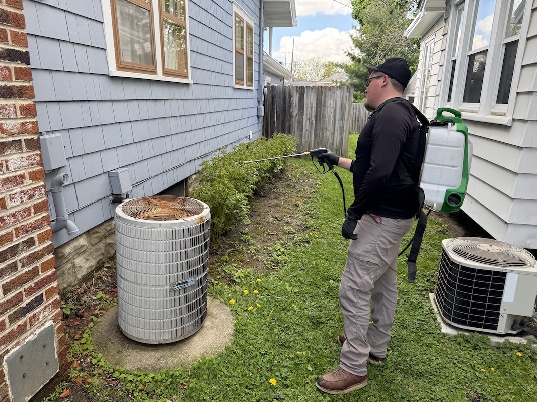 Deer - Stewart Pest Solutions